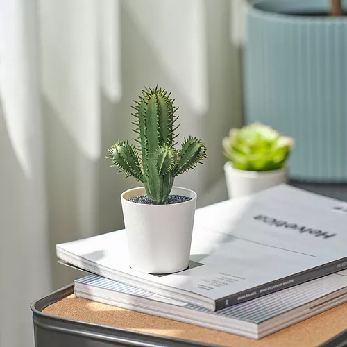 IKEA Puerto Rico - FEJKA artificial potted plant, indoor/outdoor ...