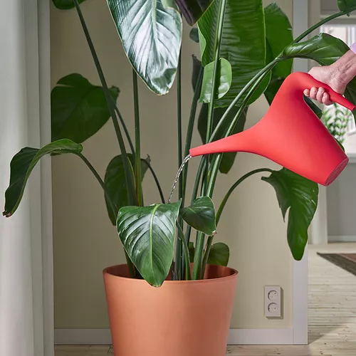 IKEA PS 2002 watering can, bright red, 41 oz